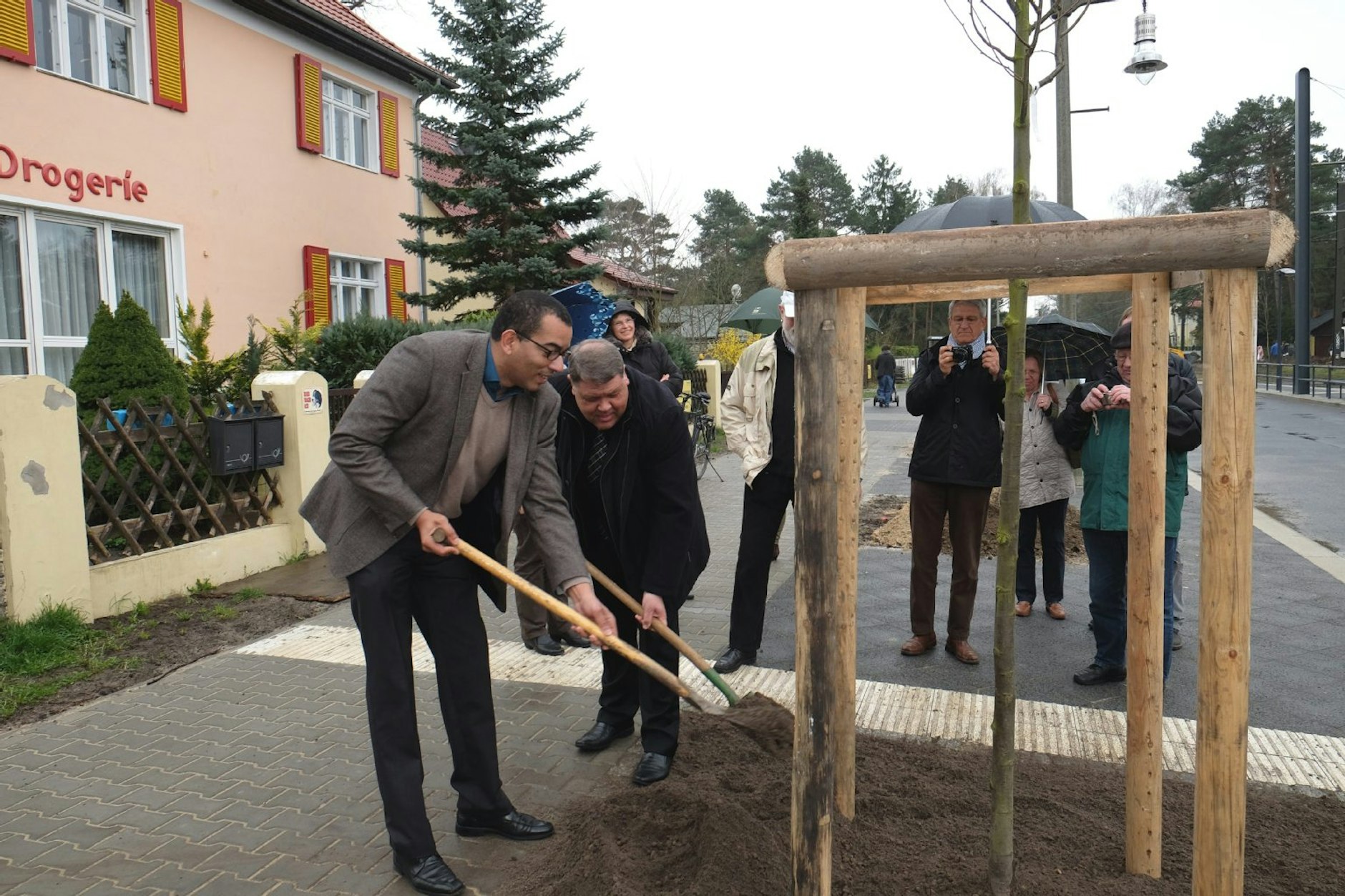 Nach Baum-Frevel: BVG pflanzt in Köpenick neue Linden