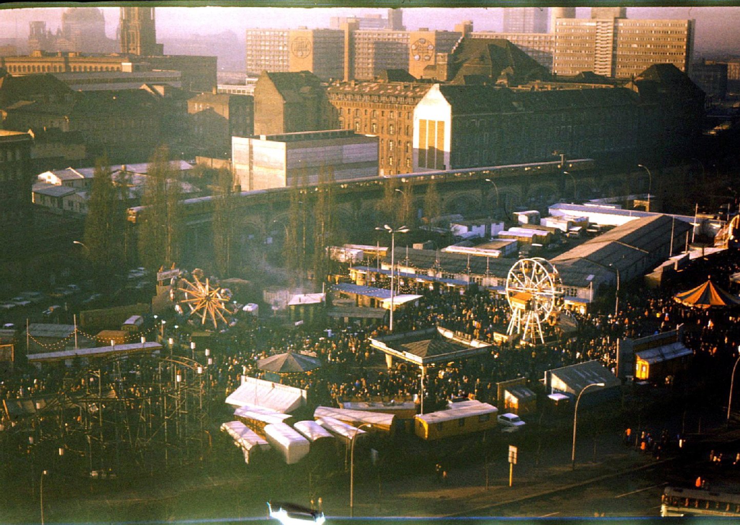 Echte Kriminalfälle: Alex: Tiger beißt Mann den Arm ab