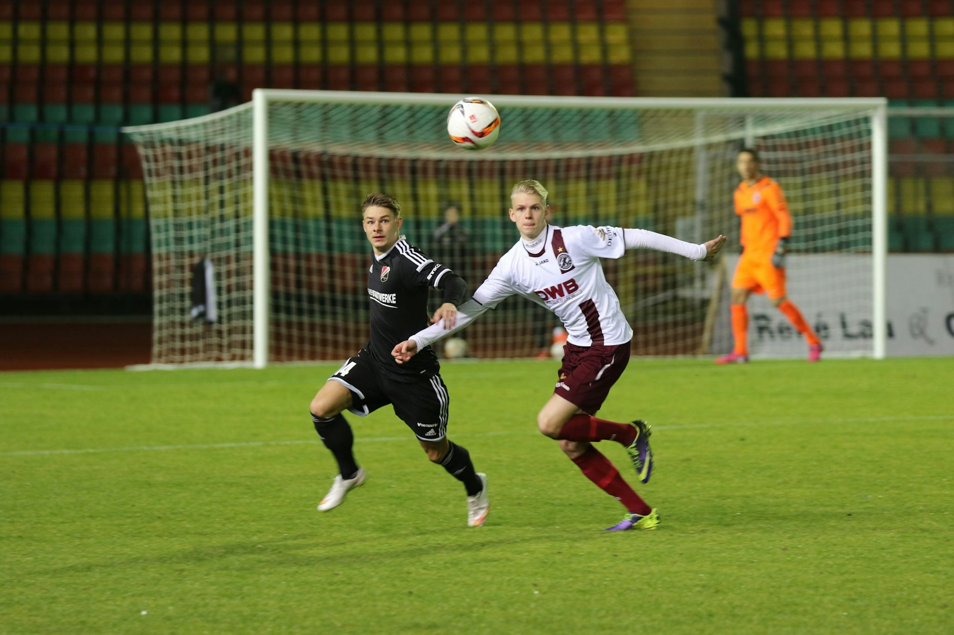 BFC Dynamo: Joey Breitfeld macht die Dynamos froh