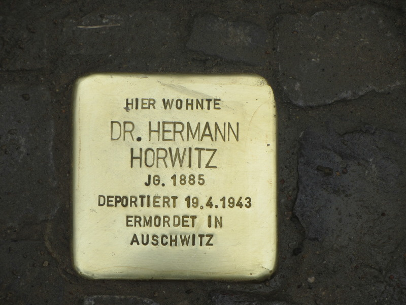 Ein Fanprojekt beleuchtet das Leben von Herthas erstem Teamarzt Dr. Horwitz