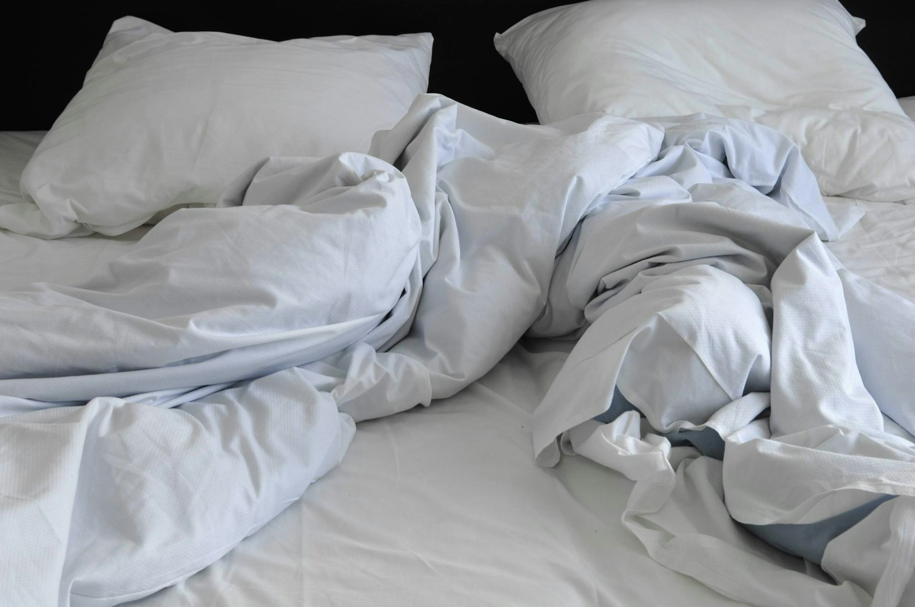 Bettwanzen-Plage in Berlin: Kammerjäger haben immer mehr zu tun