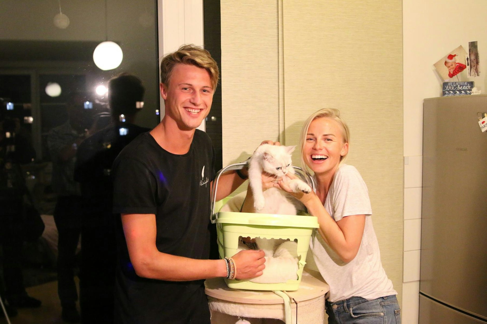 Katze Lori wird aus Regenrinne gerettet: Jetzt hat sie nur noch sechs Leben