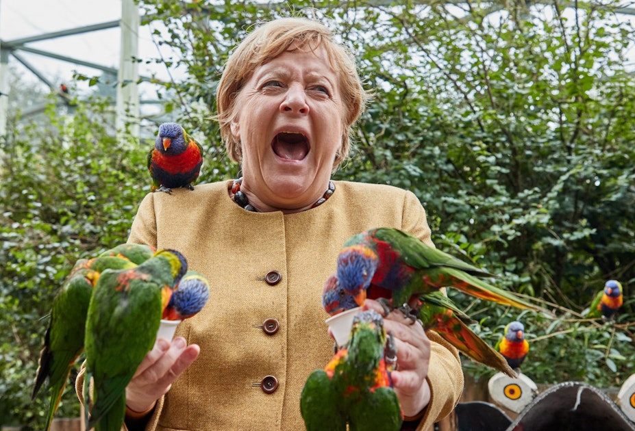 Autsch! Hier wird Bundeskanzlerin Angela Merkel von einem Vogel gebissen