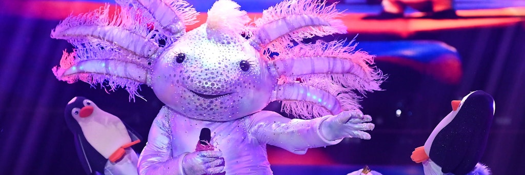 „The Masked Singer“: Neue Hinweise zum Axolotl enttarnen den nächsten ...