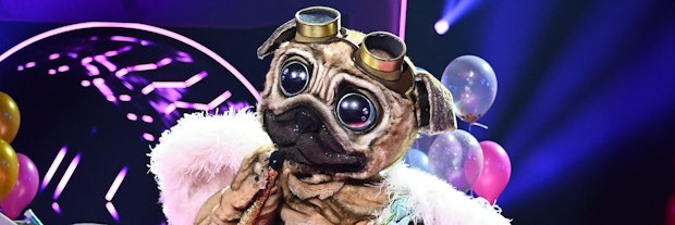 „The Masked Singer“: Der Mops ist enttarnt! SIE ist es – und DAS sind ...