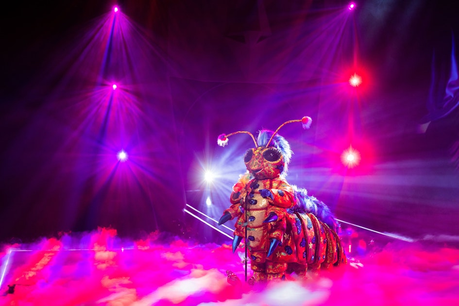 „The Masked Singer“: Die Raupe ist endgültig enttarnt! DIESE Sängerin steckt im Kostüm – und DAS ...