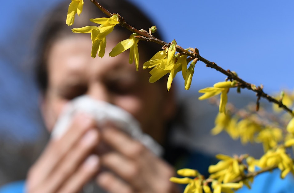 Gute Tipps für Allergiker: So helfen Corona-Masken gegen Pollen