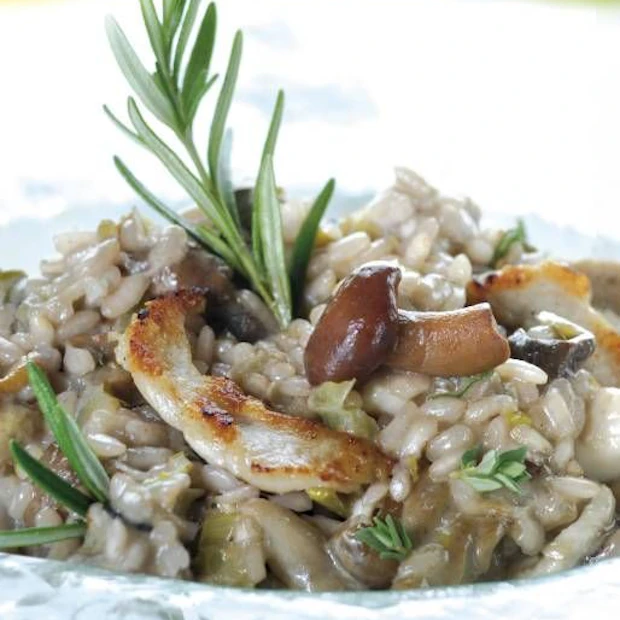 Leckeres Risotto mit Pilzen wie vom Sternekoch: So gelingt Ihnen der ...