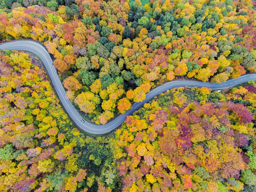 Geniales Herbst-Wissen: Warum werden eigentlich die Blätter bunt ...