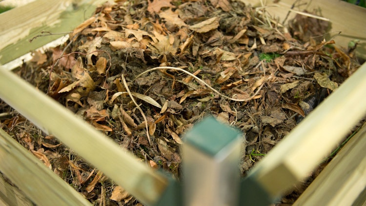 Kompost mit Laub im Herbst anlegen: Dieser Kostenlos-Trick für den Garten rettet Ihre Pflanzen