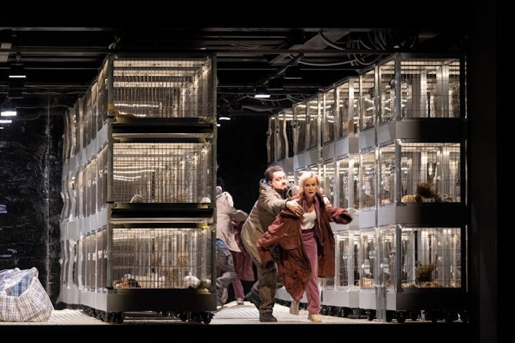 Wotan und die Karnickel: Prozess um langohrigen Bühnenauftritt bei ...