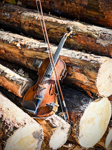 DDR-Rocker Hans „die Geige“ Wintoch: So ehrt er den toten Puhdys ...