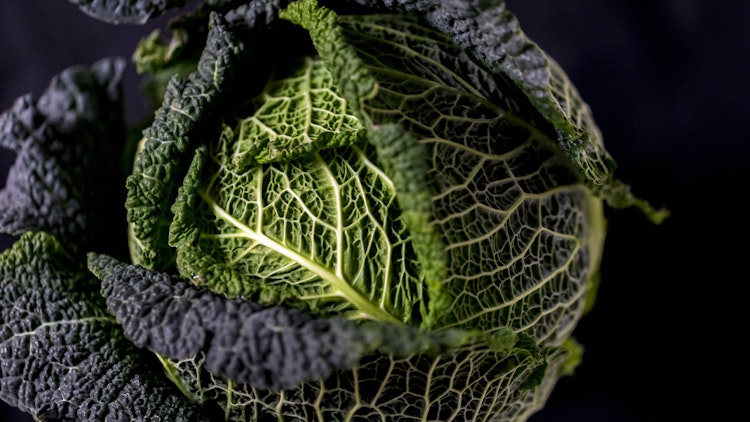 Omas Wirsing-Topf mit Hackfleisch und Kartoffeln – das genial einfache ...