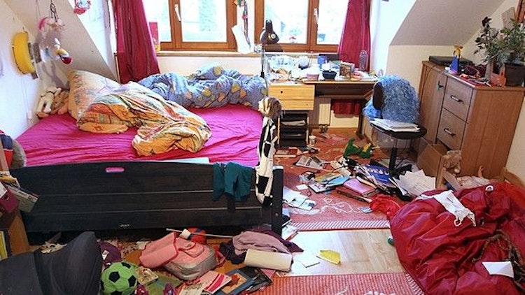 Chaos in der Wohnung: Diese Berlinerin weiß, wie man Streit ums ...