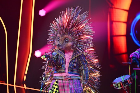 „The Masked Singer“: Horror beim Igel! Sender verrät Namen, Fans geschockt