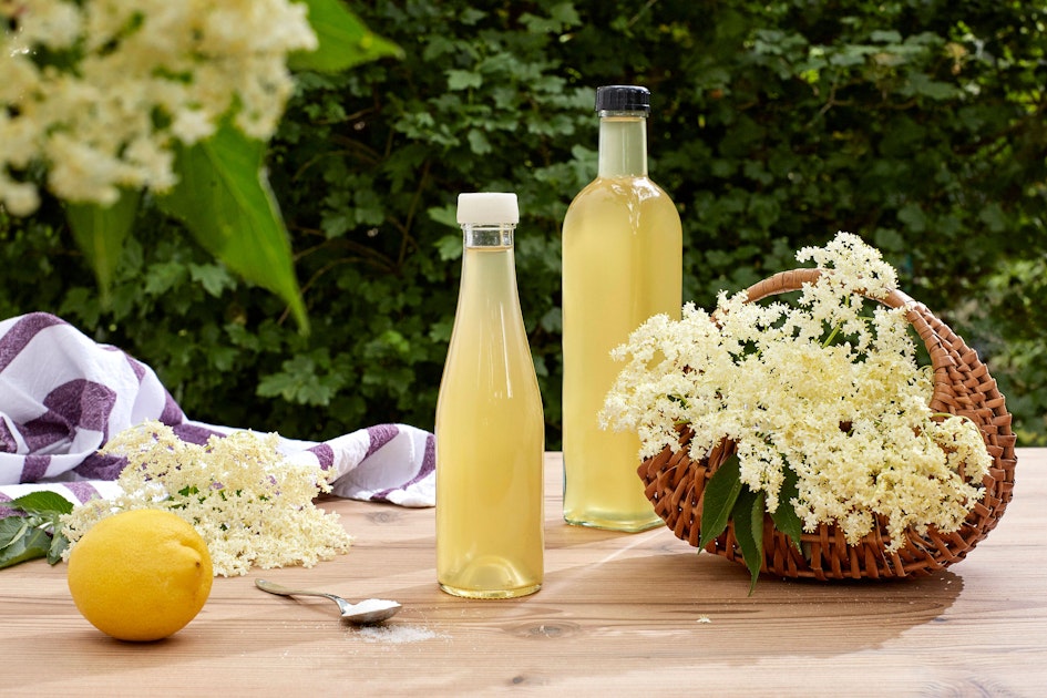 Holunderblutensaft Selbst Machen