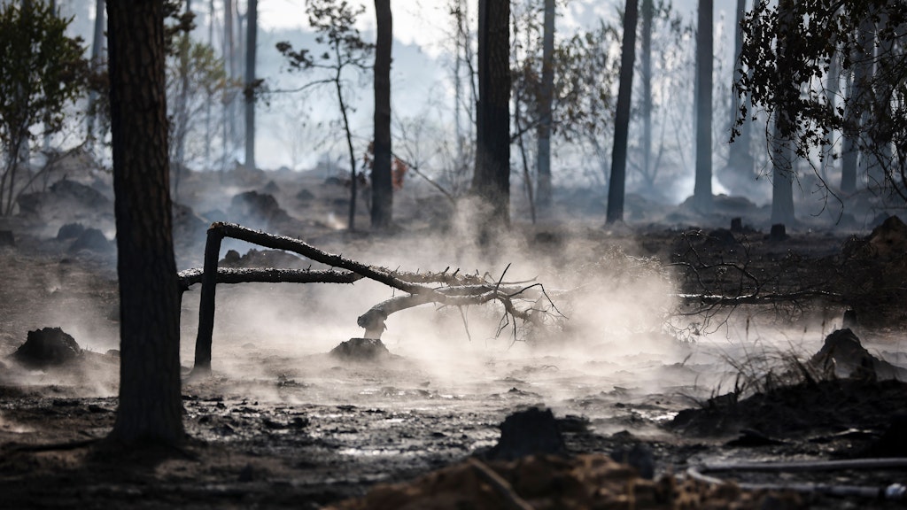Löschdrohnen sollen Waldbrände in Brandenburg bekämpfen