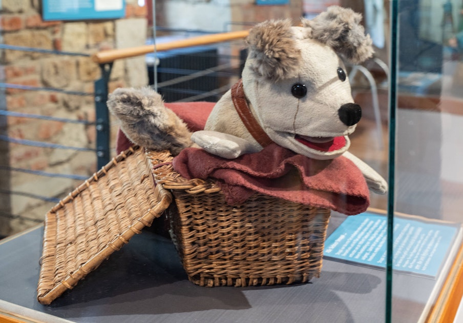 Kinder-Held der DDR: Wenn Sie DIESEN Hund kennen, sind Sie ein echter Ossi!