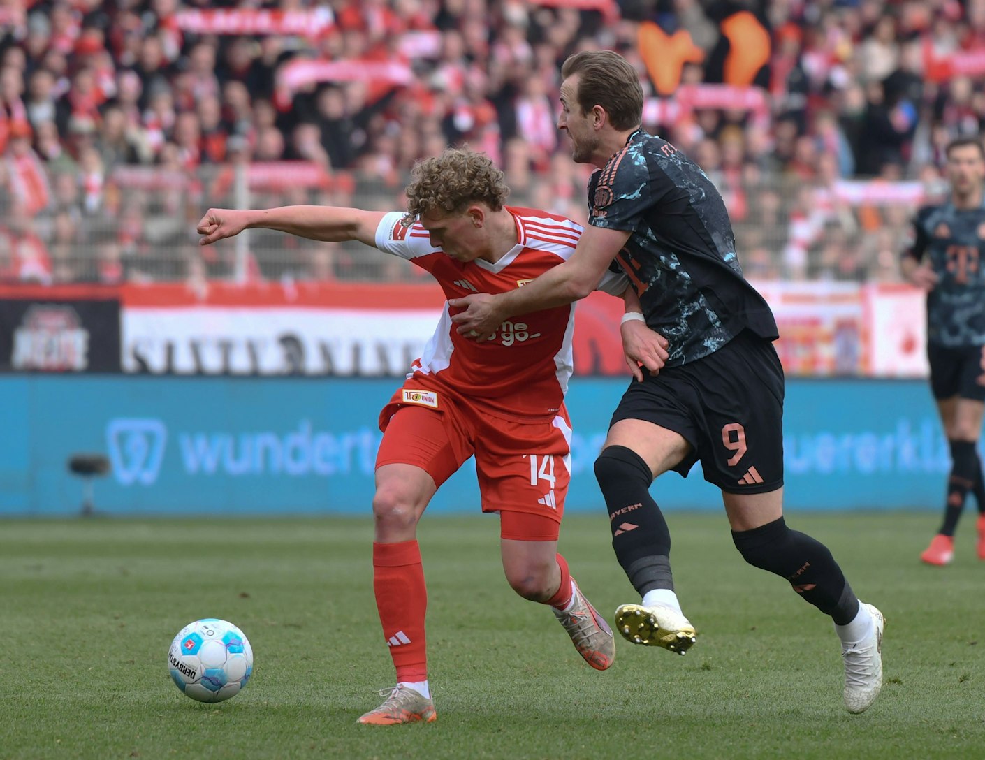 Querfeld beim 1. FC Union: Leopold ist Köpenicks Kassenschlager!